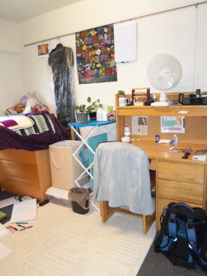 Warren Hall Pictures – RPI Rooms