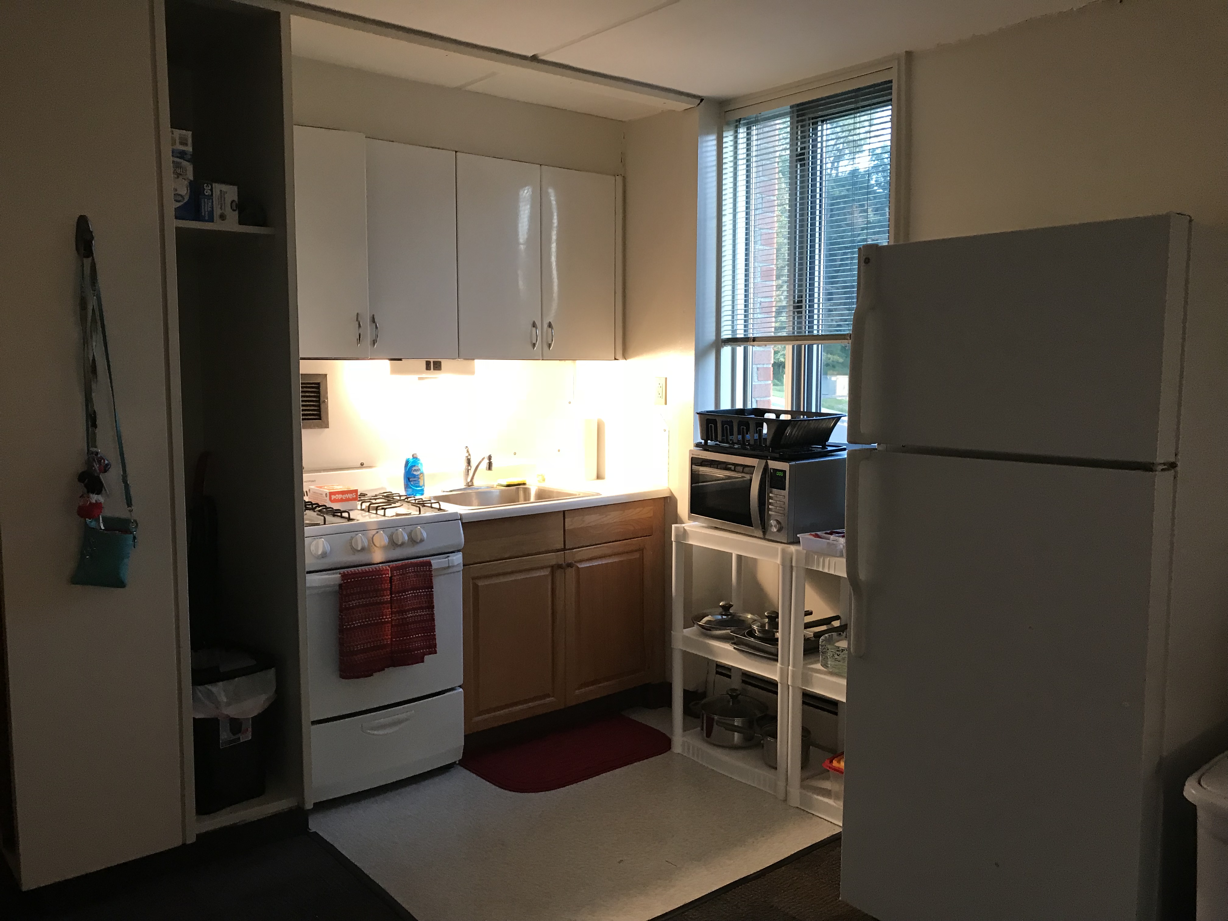 Bryckwyck – RPI Rooms